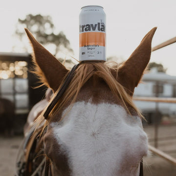 The Story Behind Travla — Our Story